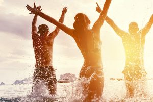 Dolphin Tours – Siesta Key Watersports