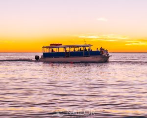 Dolphin Tours - Siesta Key Watersports