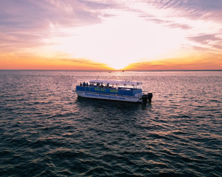 Dolphin Tours – Siesta Key Watersports